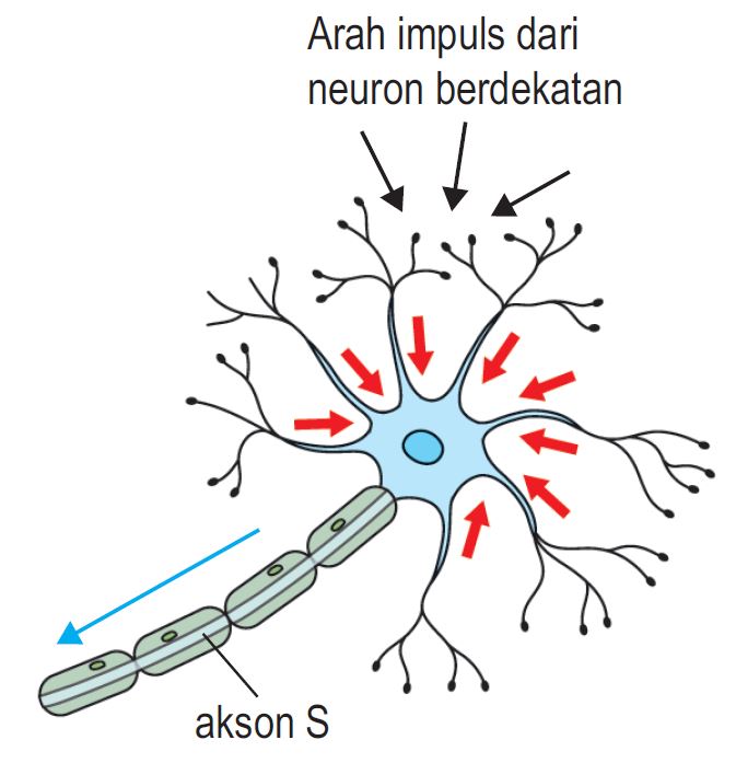 Praktis Sumatif 12 (Soalan 6 & 7) - Biologi Tingkatan 4 (KSSM) Bab 12 ...