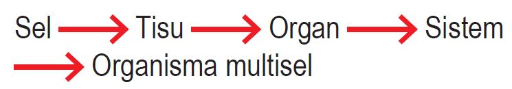 Praktis Formatif 2.4 - Biologi Tingkatan 4 (KSSM) Bab 2 - Biologi SPM