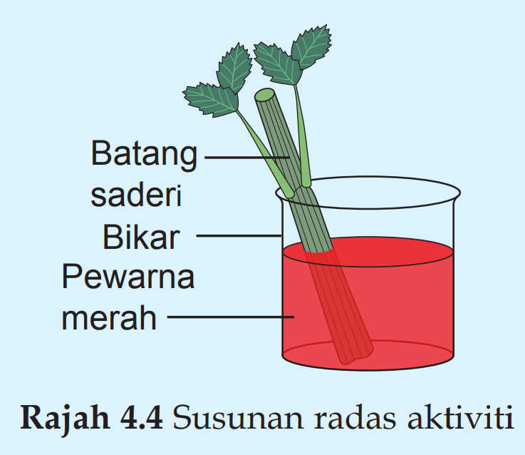 Aktiviti 4.1 - Biologi Tingkatan 5 (KSSM) Bab 4 - Biologi SPM